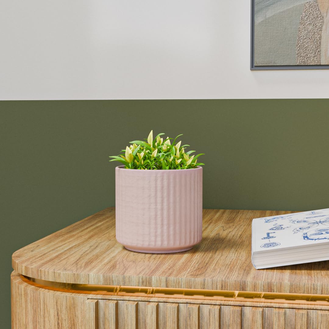 Pink Fringe Ceramic Planter | Chinni Mitti Pots – The Earth Store