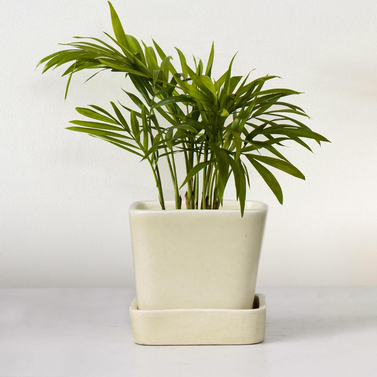 Cream Square Ceramic Planter for Living Room, Indoor Outdoor Plants ...