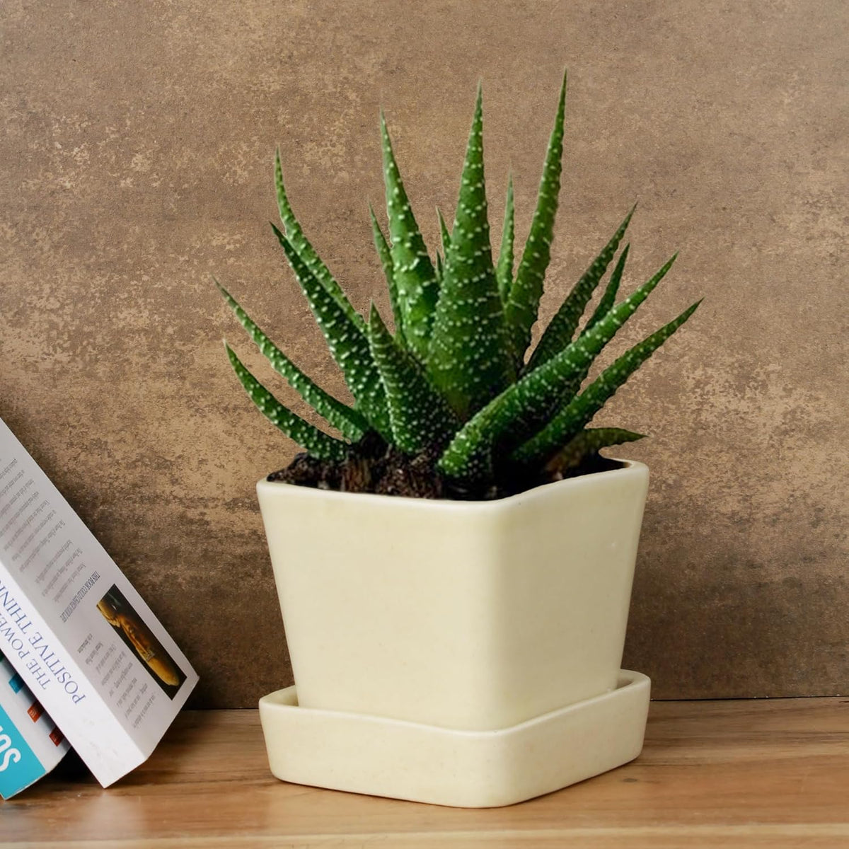 Cream Square Ceramic Planter for Living Room, Indoor Outdoor Plants, Garden, Balcony, Home Decor ...